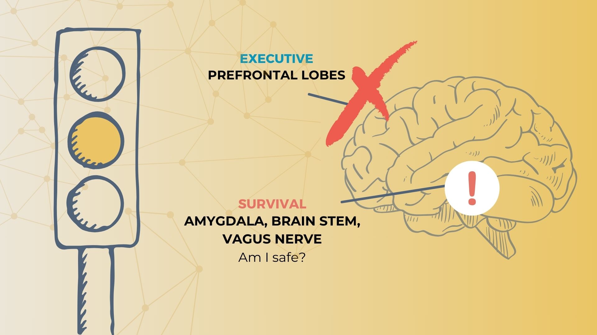 Free Nervous System Guide - The Do Business Better School - The Do ...